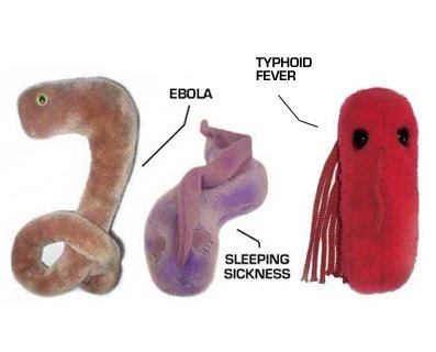 Stuffed Toys - Bacteria, Viruses and Parasites | Amusing Planet